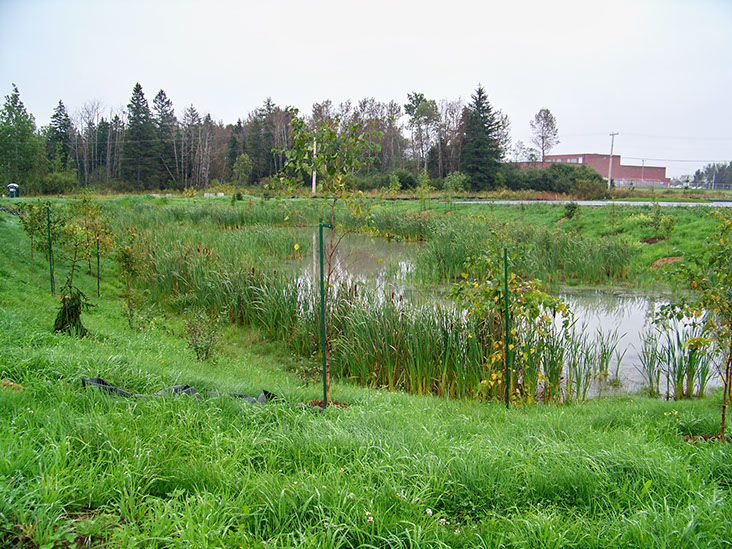 Sustainable Site Design